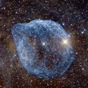 The Dolphin Nebula Sh-308 with Sh2-303 and 304 | Telescope Live